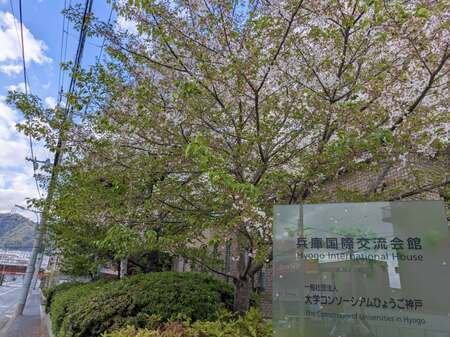 フェニックス神戸ゾンタクラブの皆様、ありがとうございます！: 認定NPO法人 Future Code