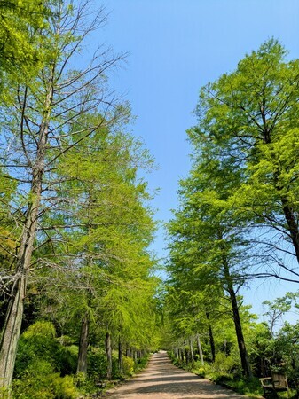 事務局よりお知らせです☆: 認定NPO法人 Future Code